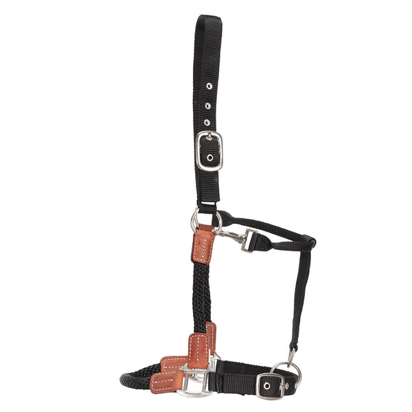Fort Worth Hybrid Rope Web Halter - Black – Mane Event Equestrian Supplies