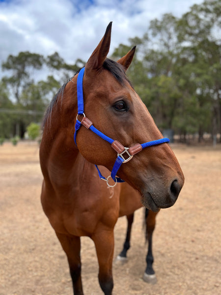 Fort Worth Hybrid Rope Web Halter - Royal Blue – Mane Event Equestrian ...
