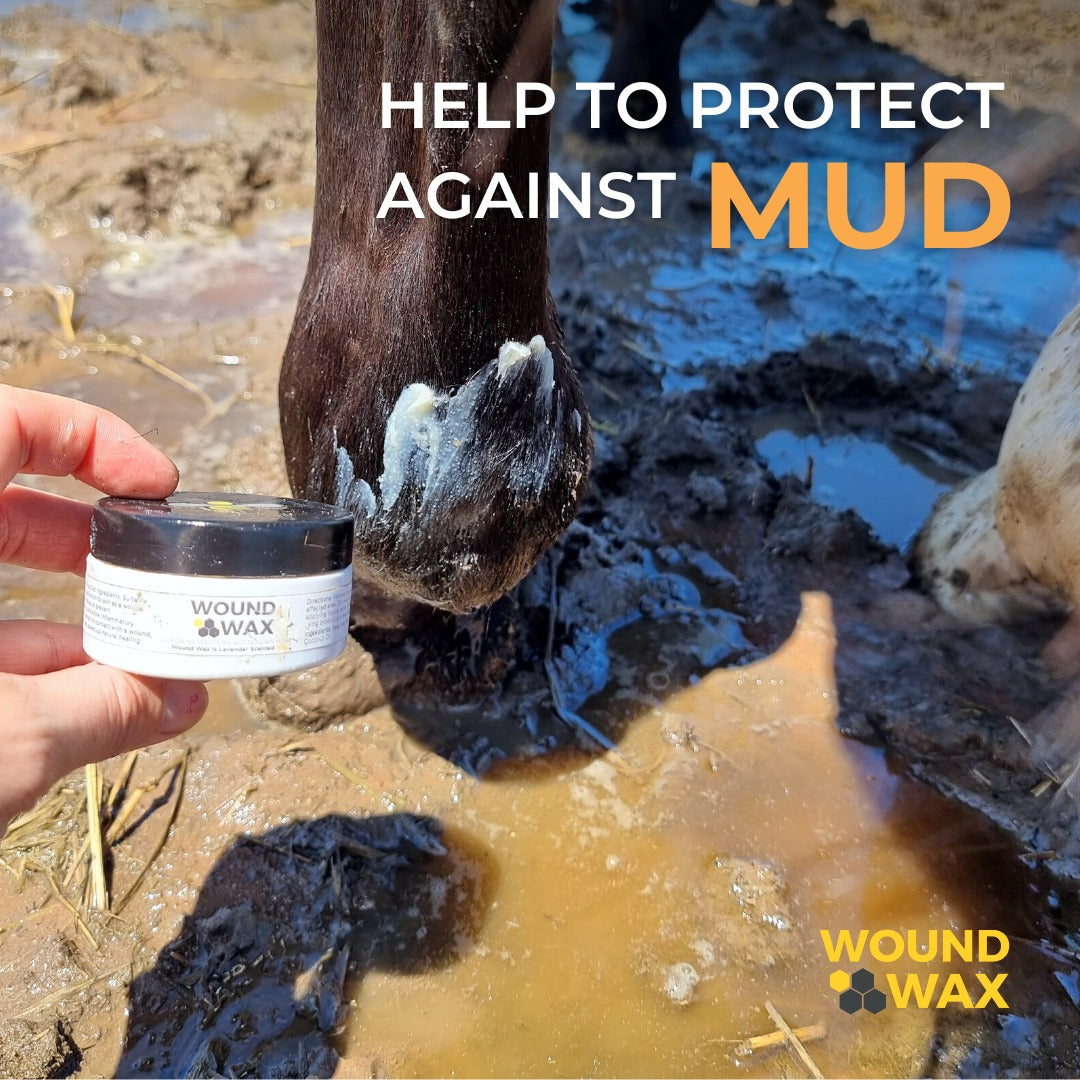 Wound Wax 1L – Mane Event Equestrian Supplies