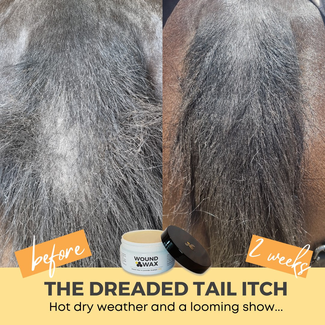 Wound Wax 1L – Mane Event Equestrian Supplies