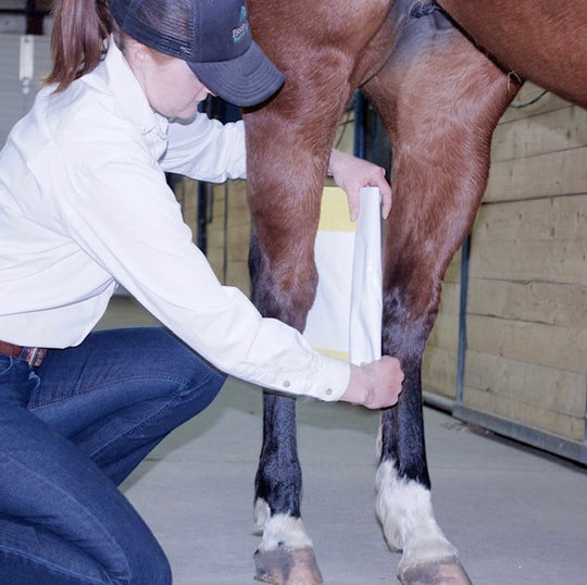 Essential Wrap – Mane Event Equestrian Supplies