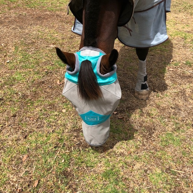 Fly Buster Long Nose Fly Mask - Turquoise – Mane Event Equestrian Supplies
