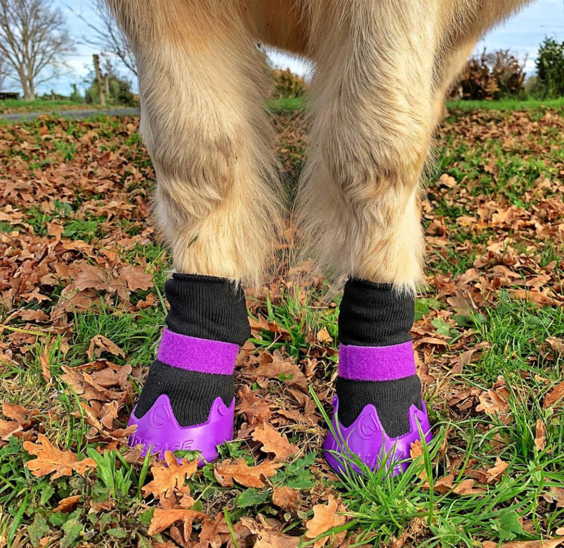 Tubbease Equine Hoof Sock – Mane Event Equestrian Supplies