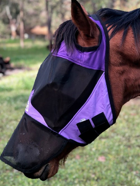 Fly Buster Long Nose Fly Mask - Purple and Black – Mane Event ...