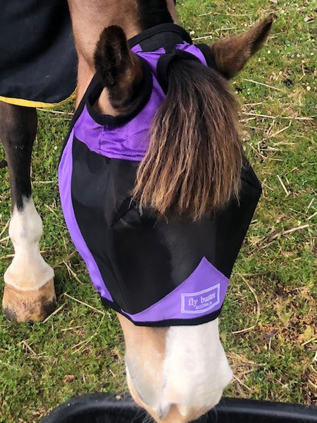 Fly Buster Standard Fly Mask - Purple and Black – Mane Event Equestrian ...