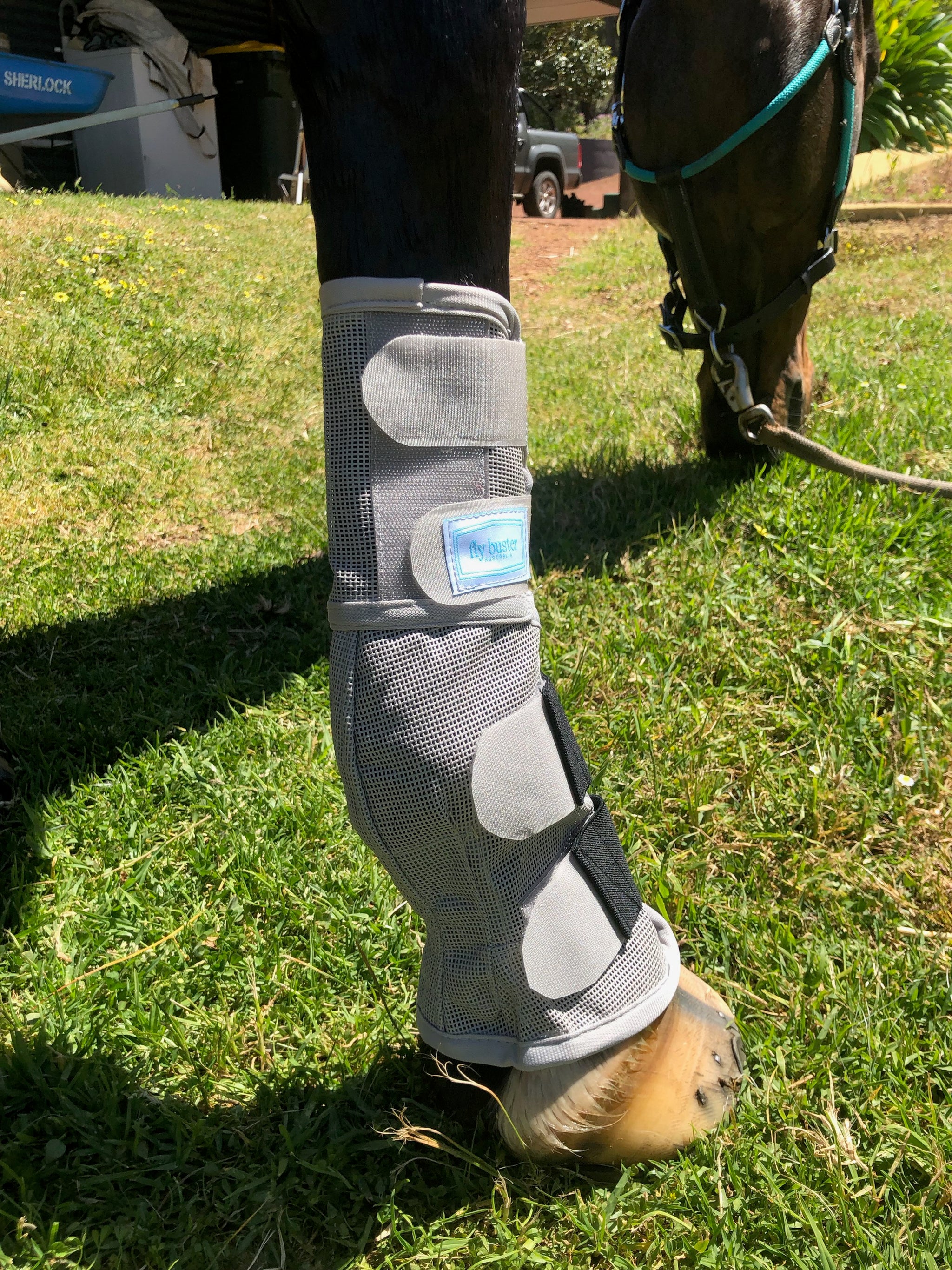 Fly Buster Leg Guards - Grey (SET of 2) – Mane Event Equestrian Supplies