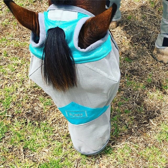 Fly Buster Long Nose Fly Mask - Turquoise – Mane Event Equestrian Supplies
