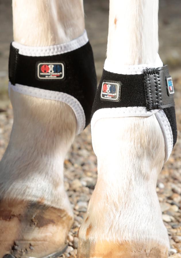 Premier Equine Magnetic Fetlock Boots – Mane Event Equestrian Supplies