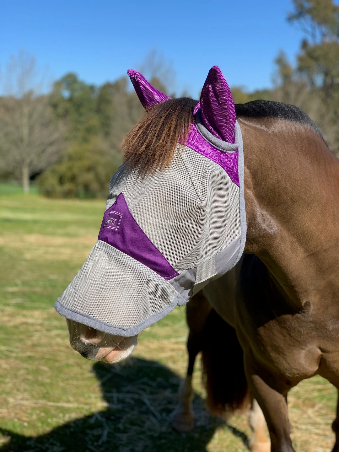 Fly Buster Fly Mask with Ears and Nose - Purple – Mane Event Equestrian ...